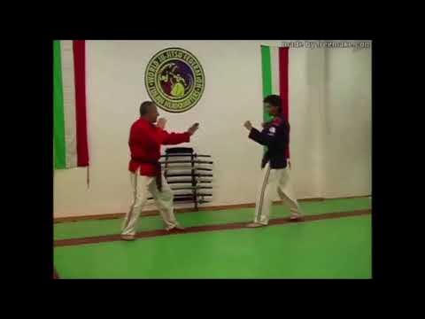 12- Kicks - WJJF / JUKO RYU Jujutsu - Basics / Kihon - YouTube
