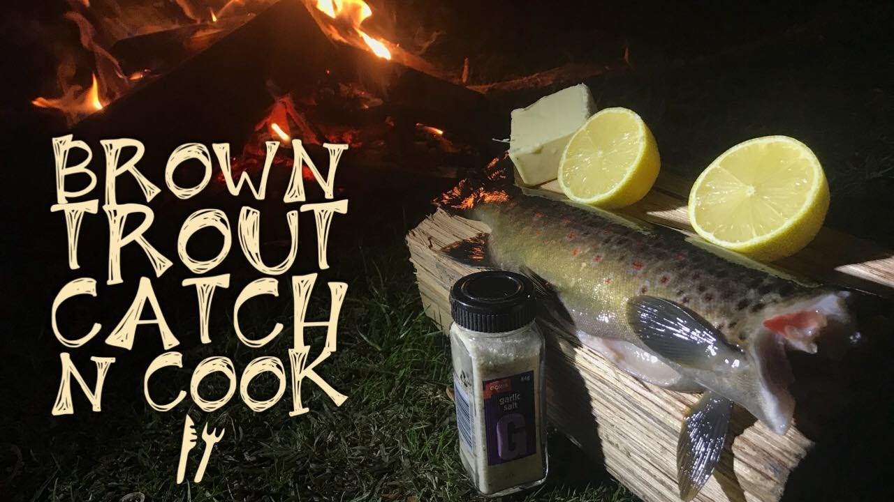 Camp, Catch n Cook Amazing Brown Trout - YouTube