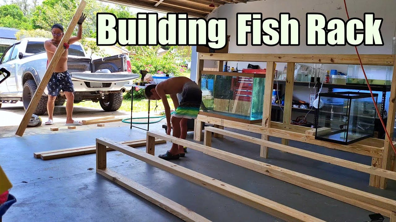 BUILDING a FISH RACK - Betta Spawn Log Days 3-5 - YouTube