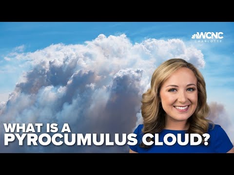 The science of a pyrocumulus cloud - YouTube