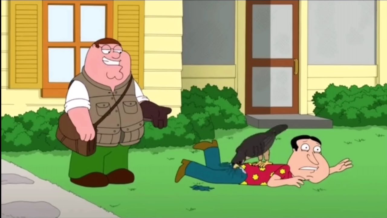 Family Guy! Best of Quagmire #4 - YouTube