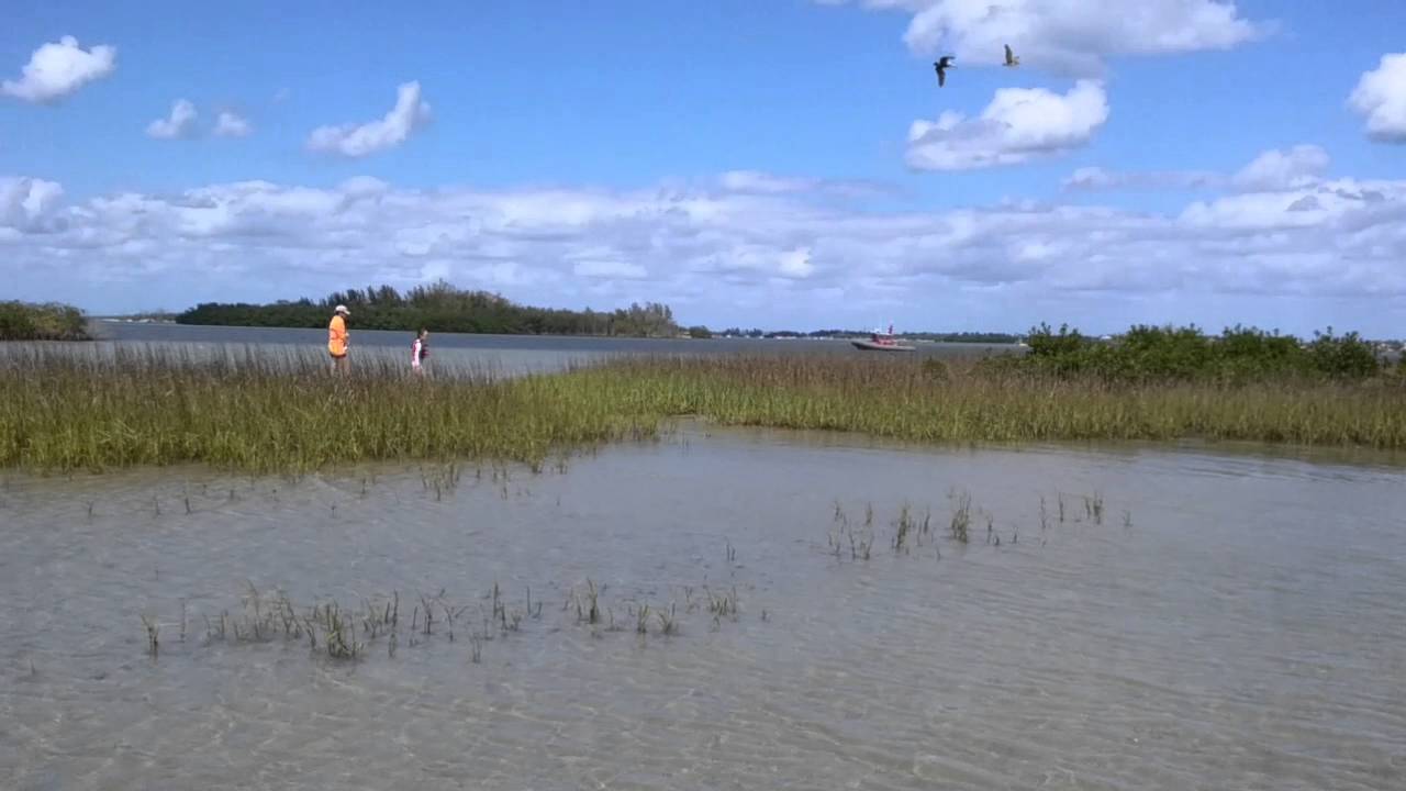 Sewalls point sand bar - YouTube