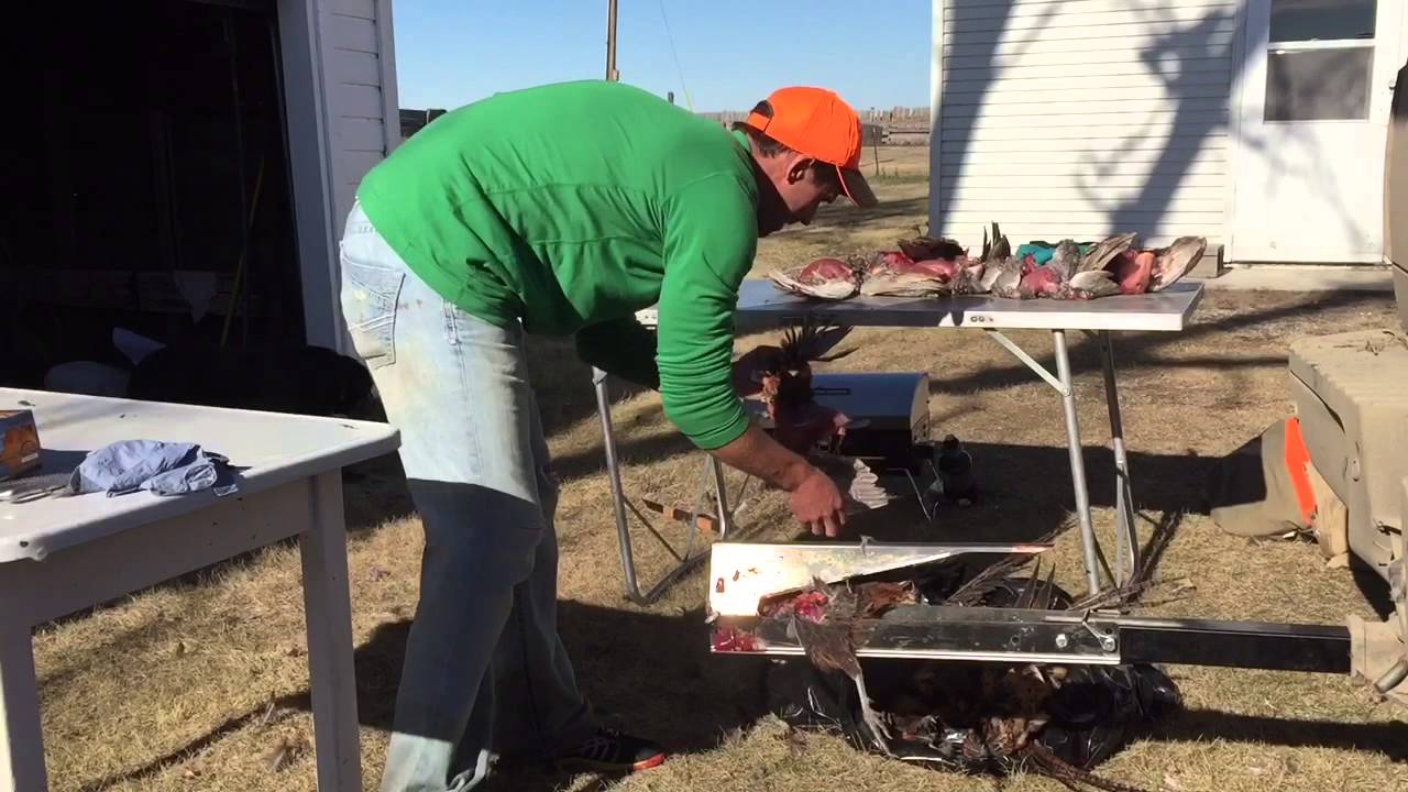 Bird Hitch - YouTube