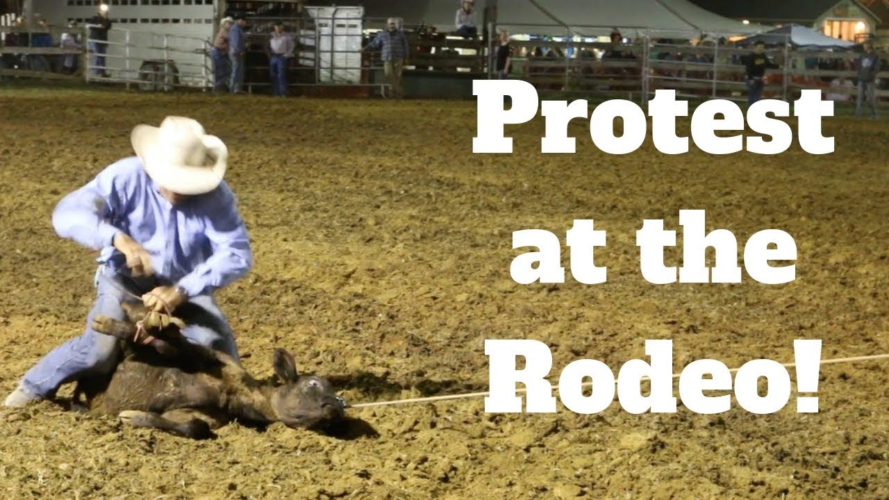 Protest at the RODEO! - YouTube