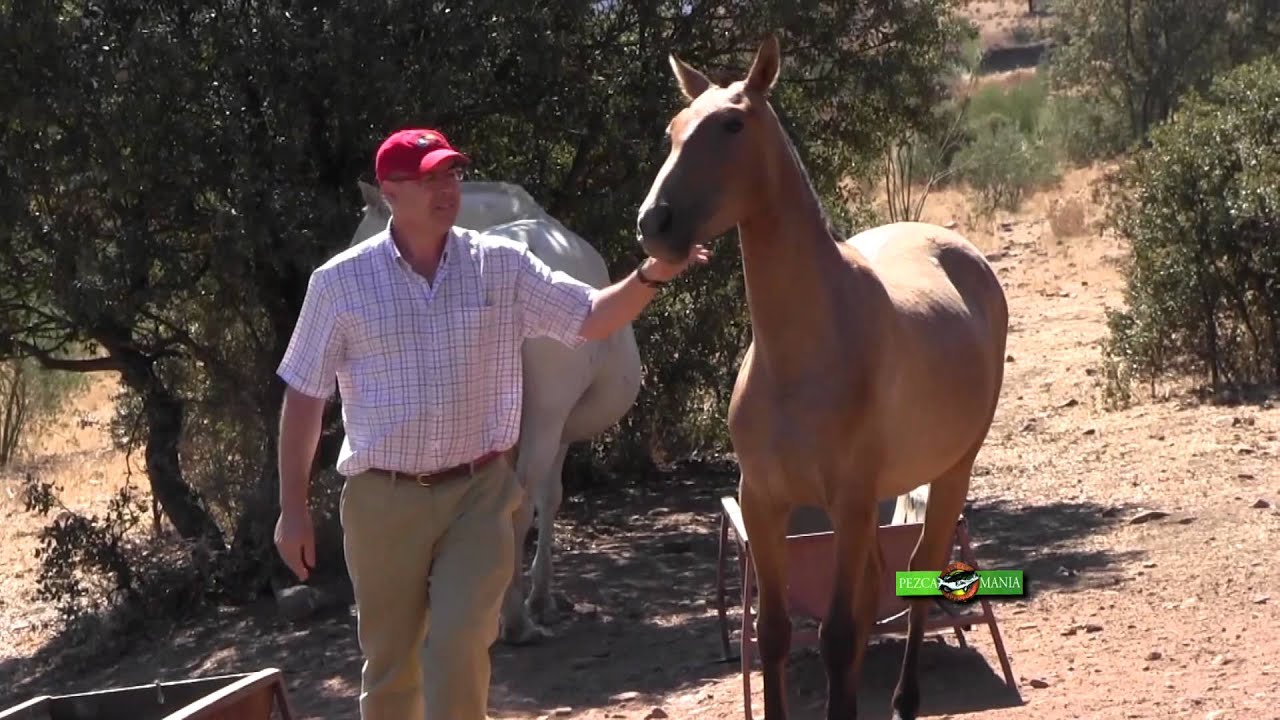 POTRANCO HISPANO-ÁRABE - YouTube