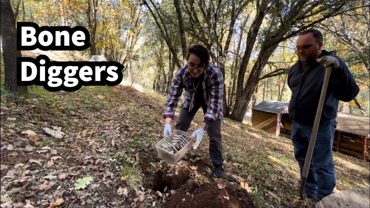 298 - How does nature clean bones? - YouTube