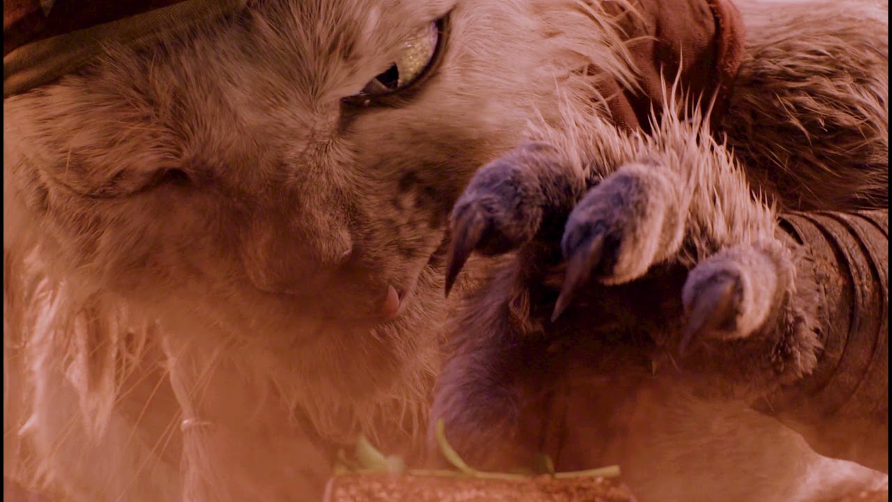 Meowscular Chef's cooking (MHW X MHM) - YouTube