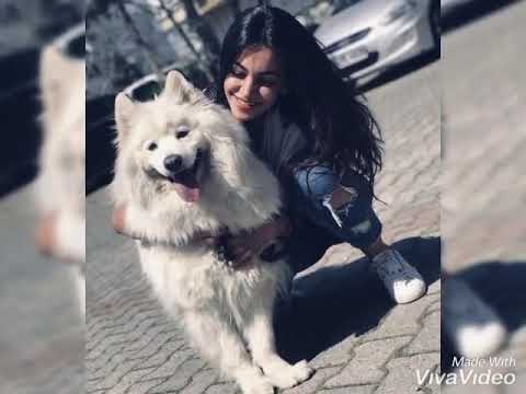 Silan makal 💕