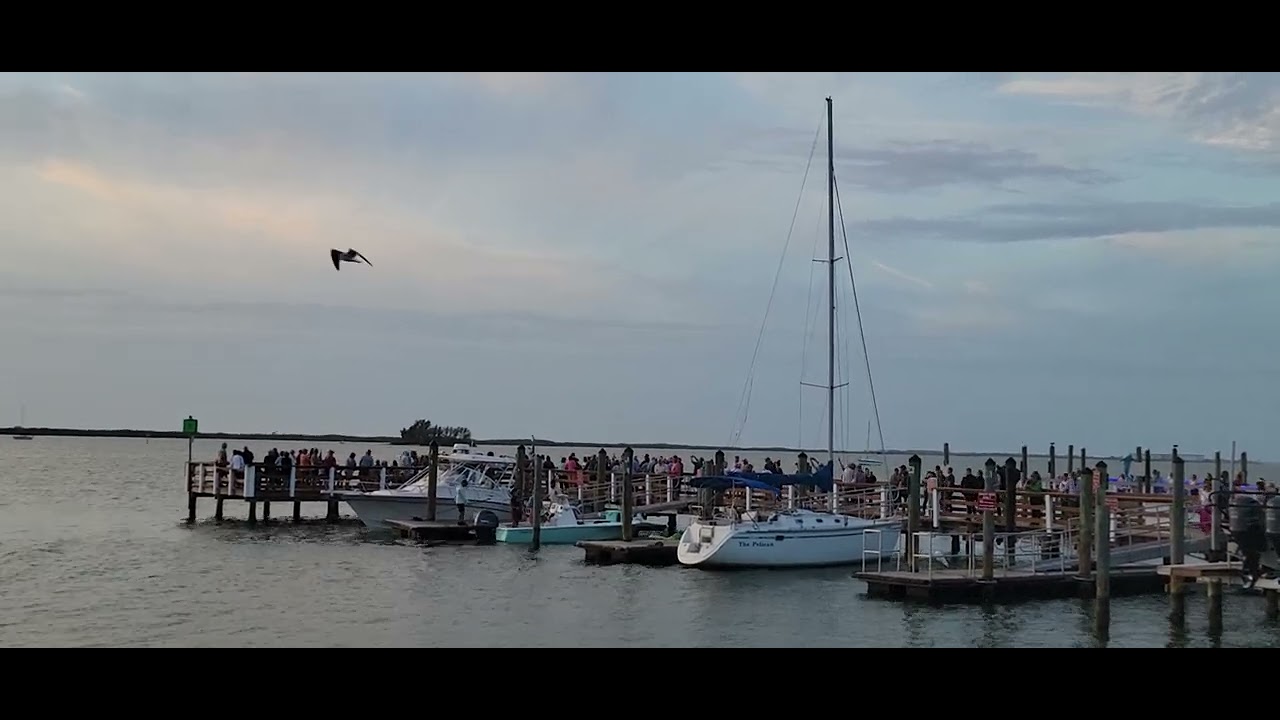 Piper at the pier in Dunedin Florida. February 10th 2023 - YouTube