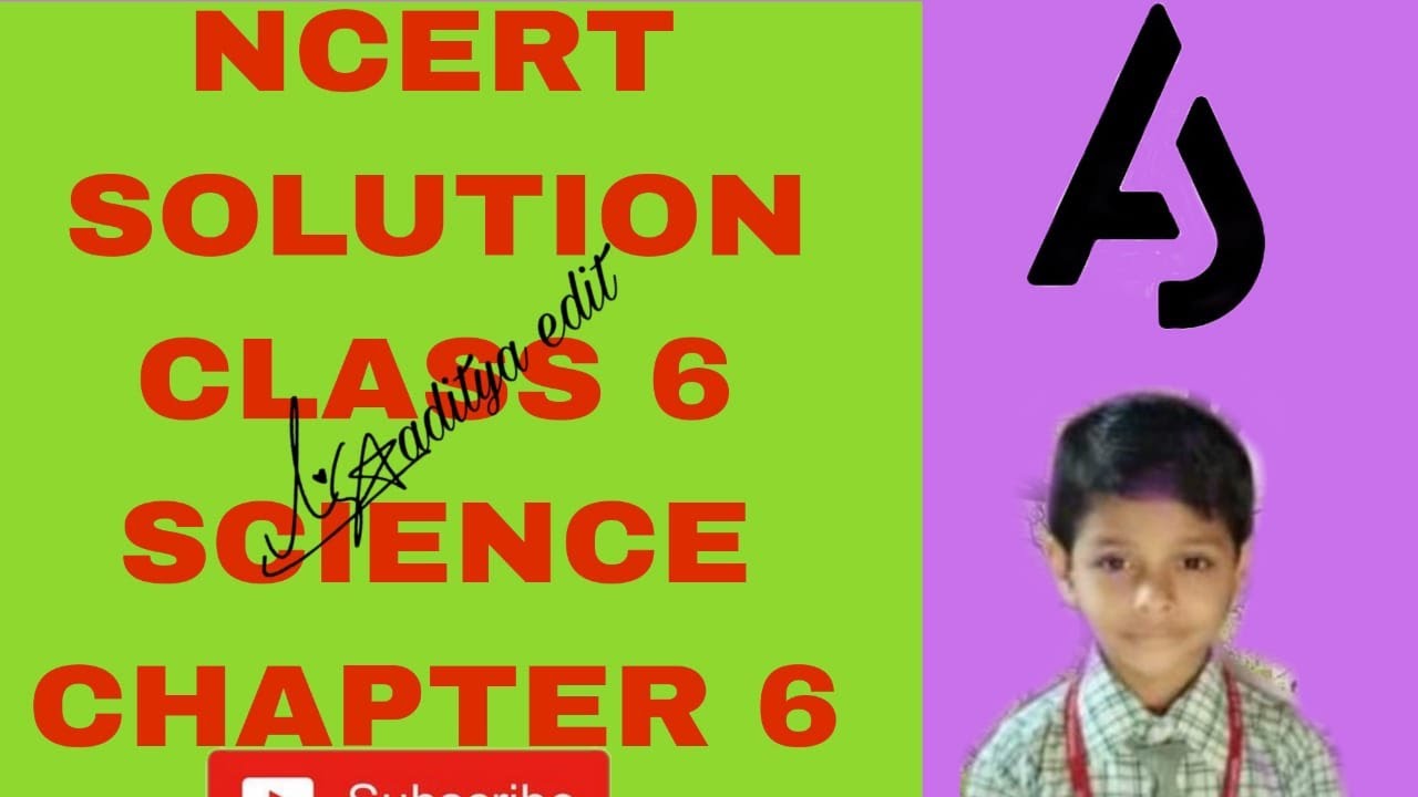 NCERT BOOK CLASS 6 SCIENCE CHAPTER 6 QUESTION AND ANSWER ADITYA ncert-book-class-6-science-chapter-6-question-and-answer-aditya