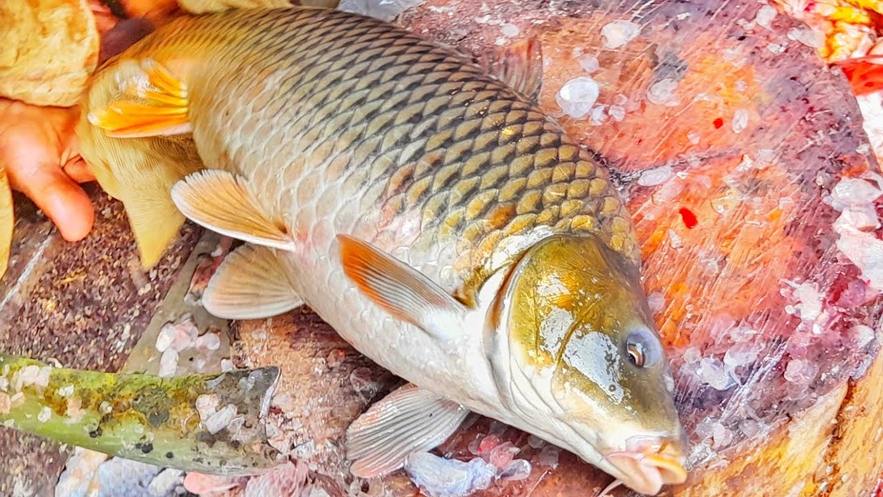 Amazing Carp Fish Cleaning and Cutting into Pieces | Carp Fish Cutting ...