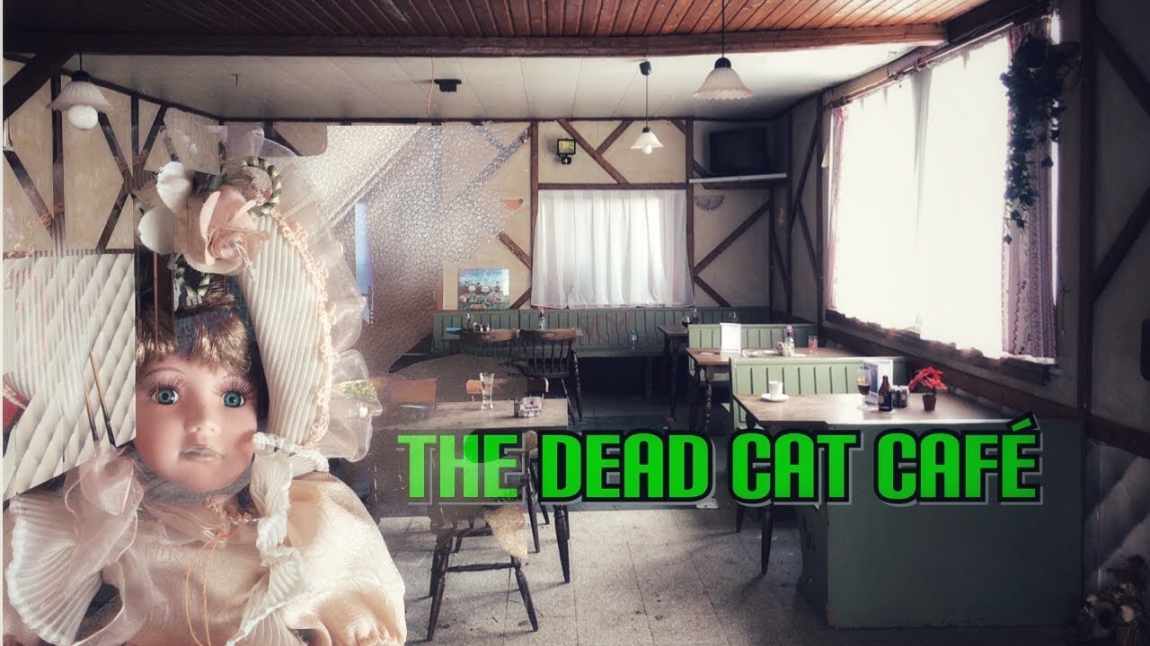 The dead cat café - YouTube