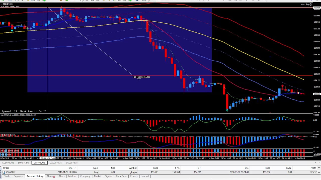 PIP TRIGGER - Trading System - YouTube