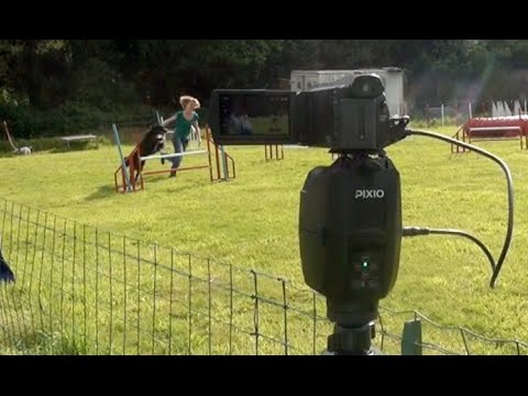 Dog Agility filmed by PIXIO robotic cameraman - YouTube