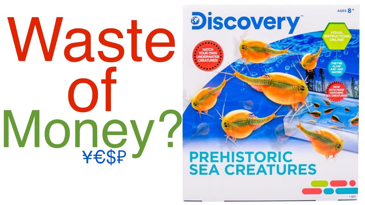 Prehistoric Sea Creatures Discovery Review & Instructions Guide - YouTube