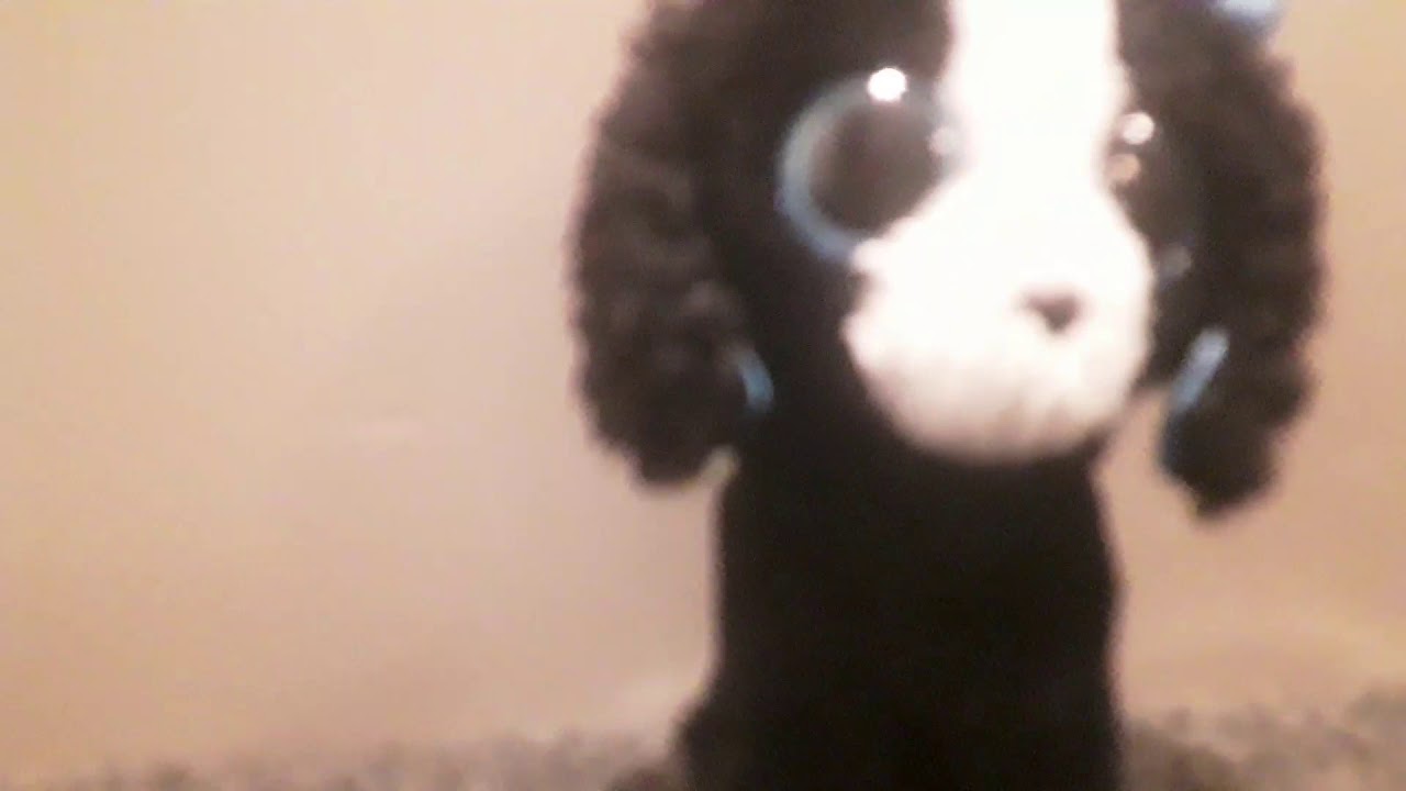 My ty Tracey - YouTube