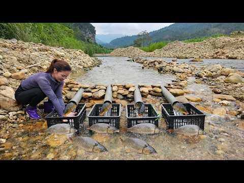 Full video of Ana's 30 days fishing in the stream and the bountiful catches in her traps.