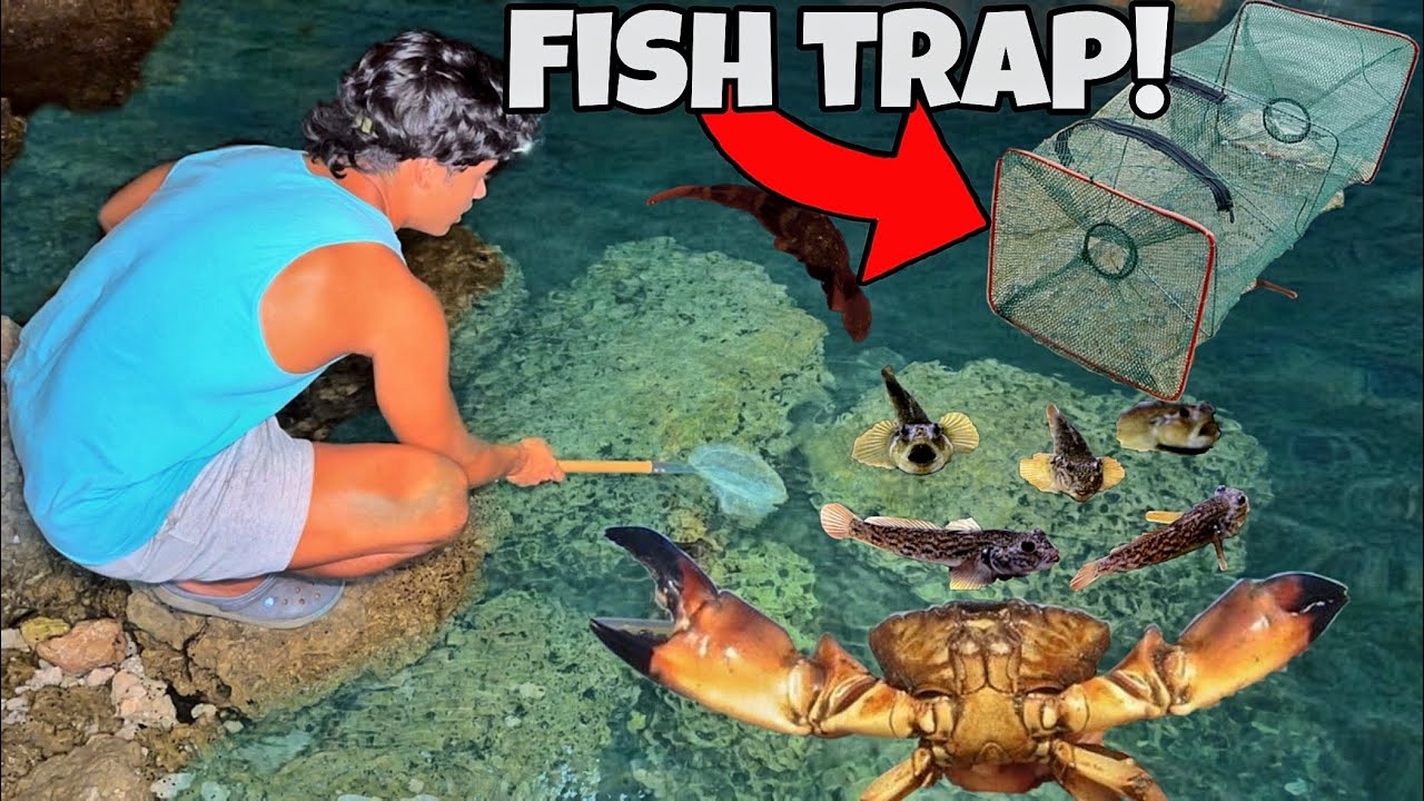 Saltwater FISH TRAP & Netting Aquatic CREATURES! - YouTube