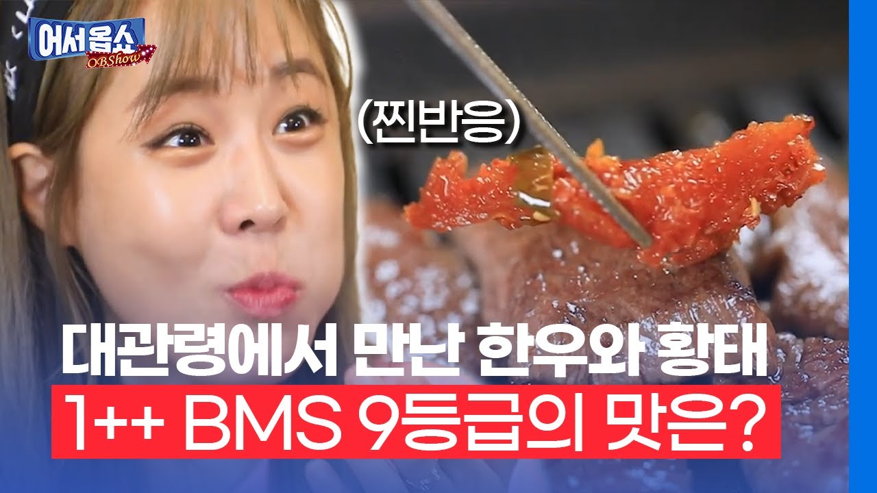 [어서옵쇼] 대관령에서 만난 한우와 황태…1++ BMS 9등급의 맛은? - YouTube