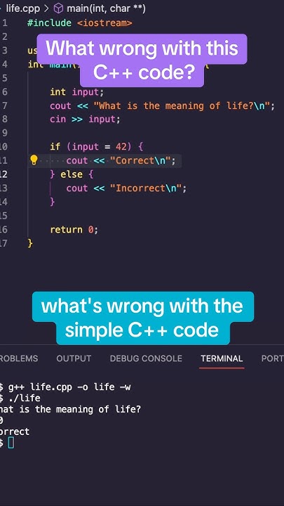 Can you spot the bug? Whats wrong with this simple C++ code? #cpp #codingchallenge #programming ...