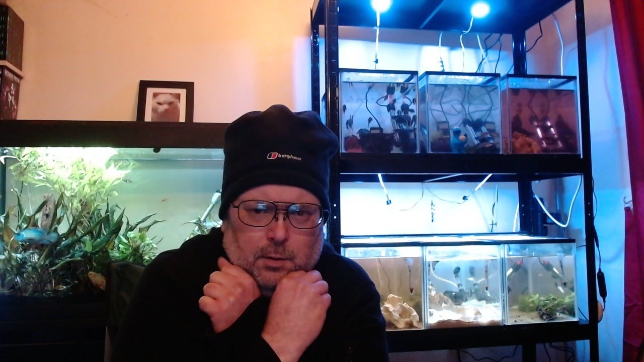 Sunday Sharpe, shivery edition - YouTube