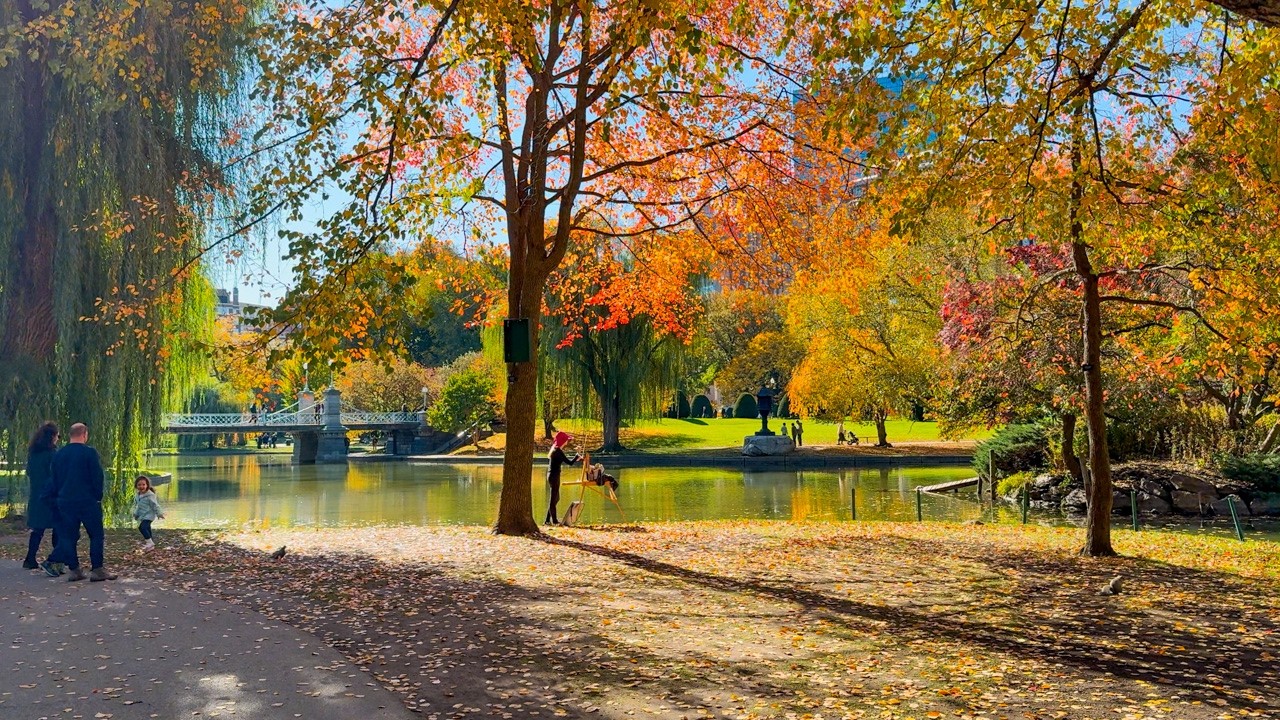 A Stunning Autumn Walk Through Boston Common 🍁 | 4K HDR - YouTube