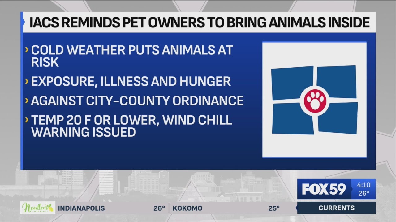 IACS: Residents should bring animals indoors during severe winter ...