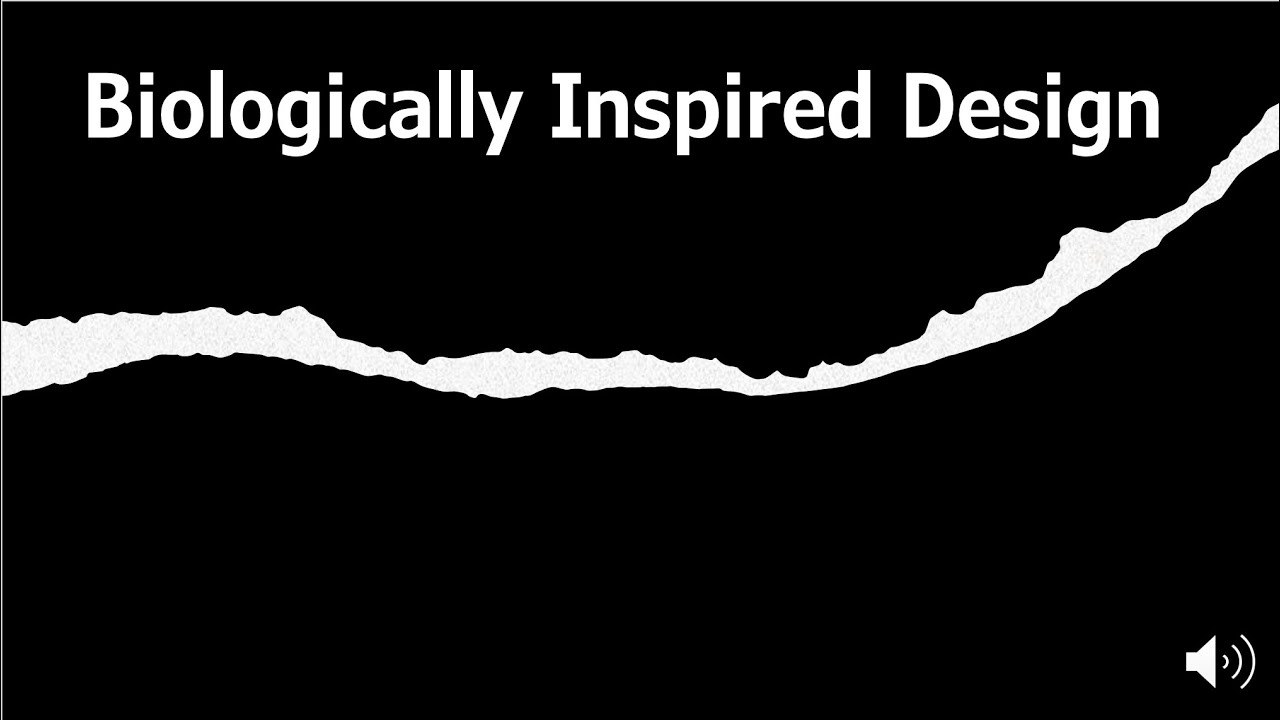 Biologically Inspired Design - YouTube