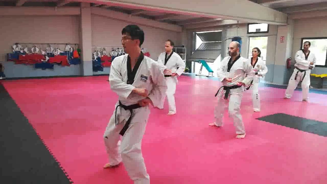 Pyongwon poomsae 평원품새 - YouTube