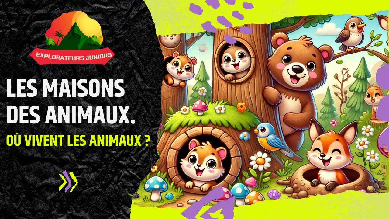 Épisode 4 : Les maisons des animaux. Où vivent les animaux ? 🦁🏠 - YouTube