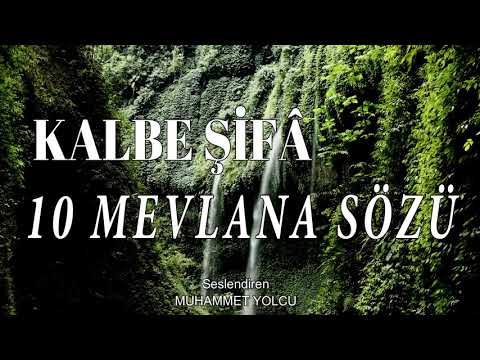 Kalbe Şifa MEVLANA SÖZLERİ DİNLE...“İnsana, aradığı şeye bakılarak değer verilir.” MEVLANA HAFTASI