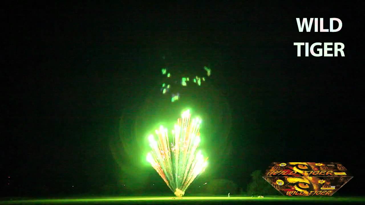 Jake's Fireworks - Wild Tiger - YouTube