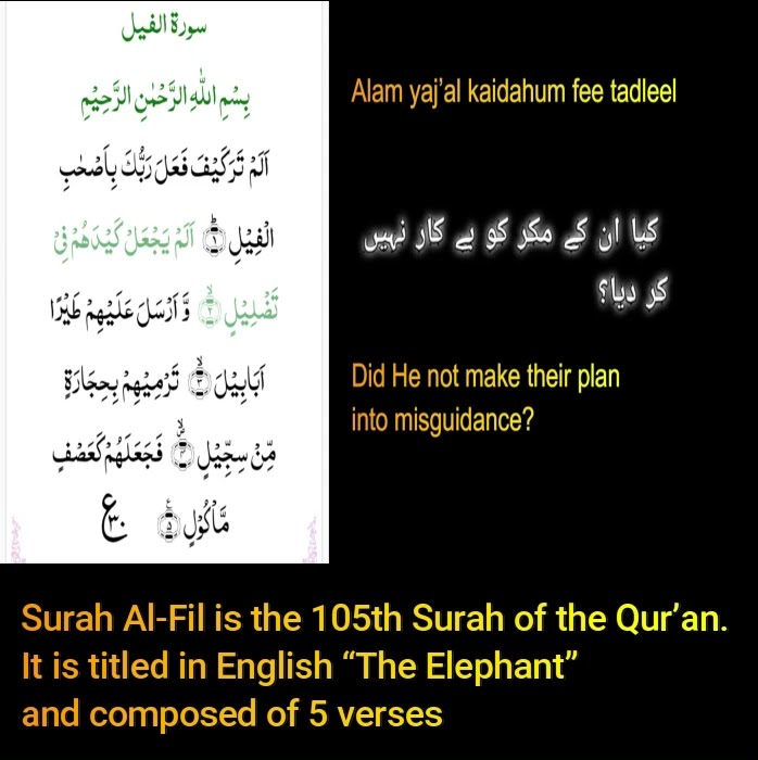 surah-al-feel-in-urdu-voice-translation-surah-feel-by-abu-saleh