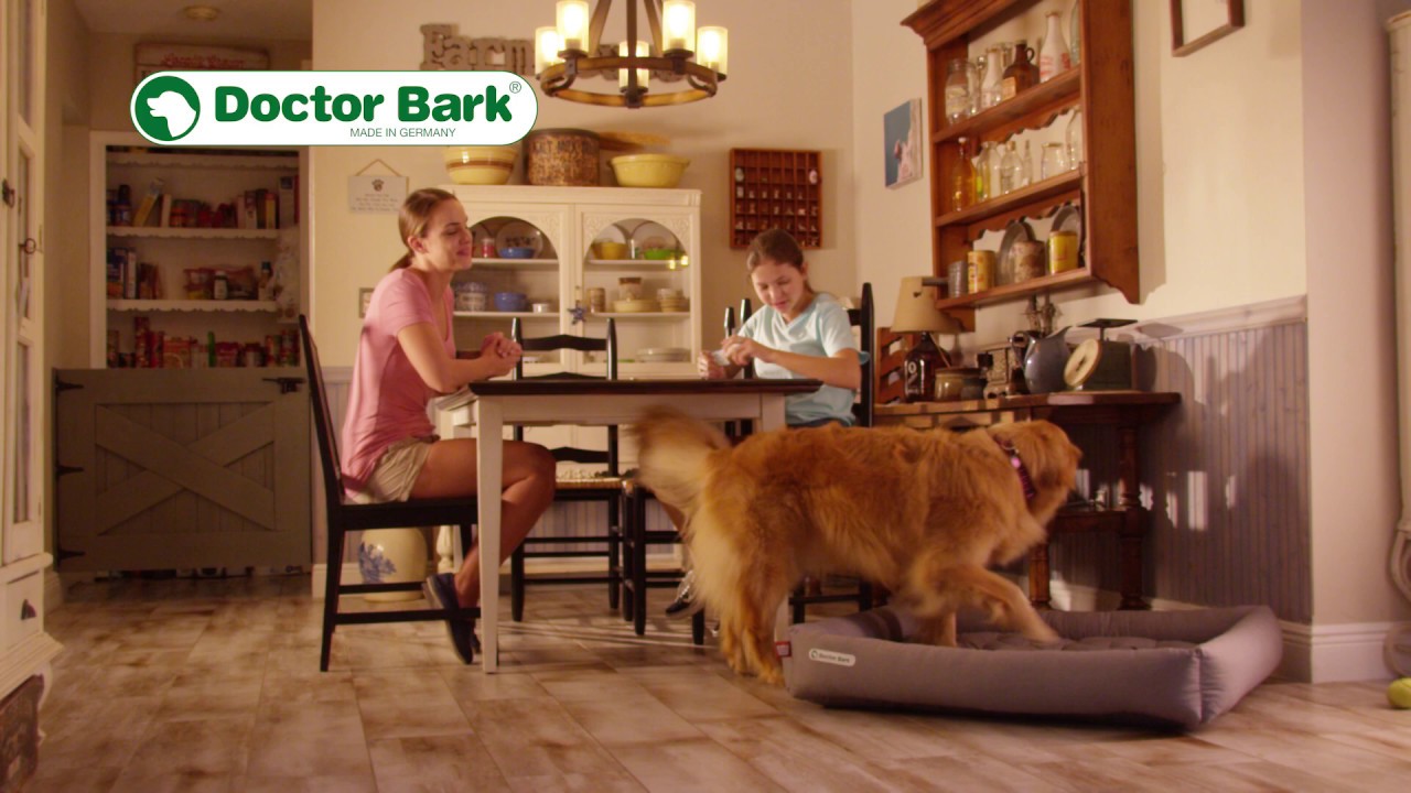 Doctor Bark As Seen on TV Commercial 15 Seconds - YouTube