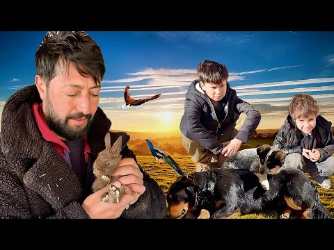 TAVŞANLAR YAVRULADI !!! BU TAVŞAN KİMİN YAVRUSU / TAVUKLARA KÜMES YAPIYORUZ / EŞİNİ ÇOK SEVEN KAZLAR