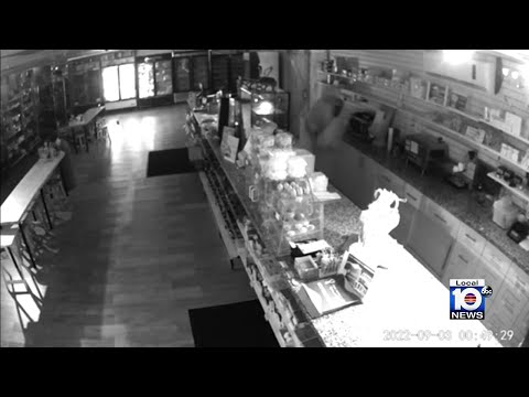 Crook caught on camera breaking into Miami market - YouTube