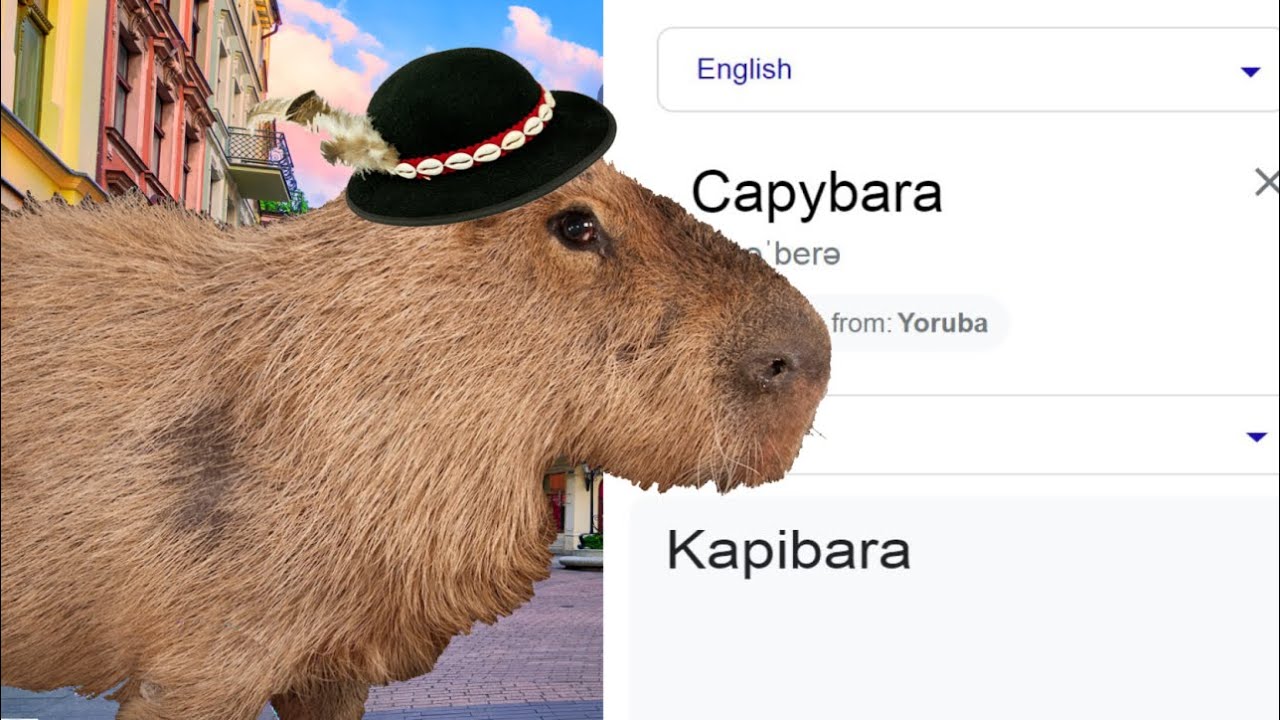 Capybara in different languages meme - YouTube