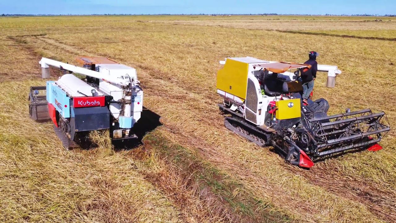 Wonderful Combine Harvestor Operating Techniques Harvet Rice Safety ...