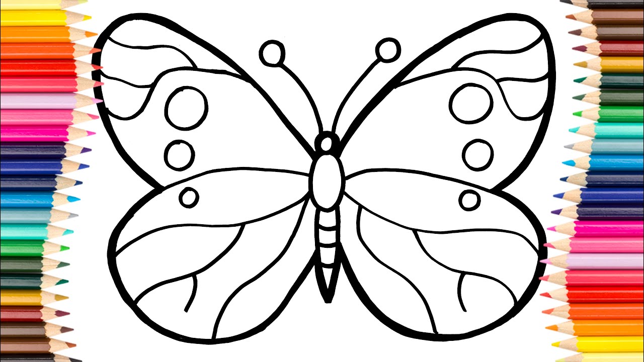 Rainbow Butterfly Drawing for Kids - YouTube