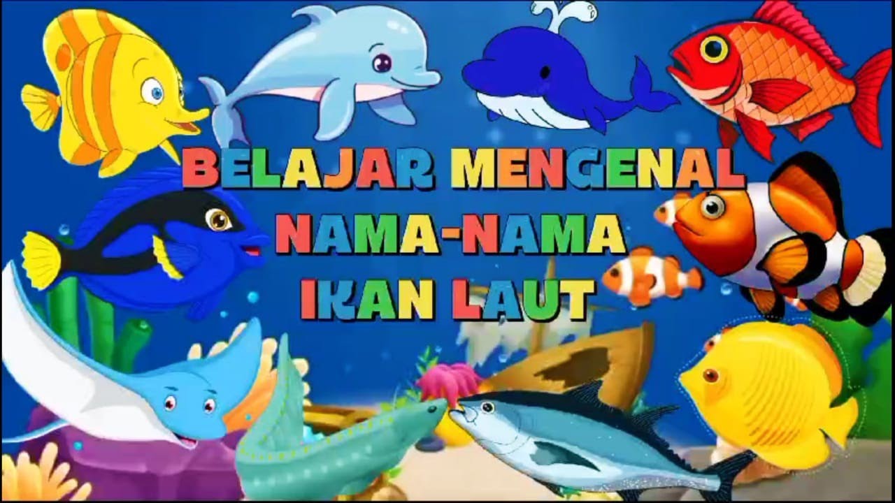 Belajar Mengenal Nama Ikan Laut | Mengenal nama nama hewan di laut ...