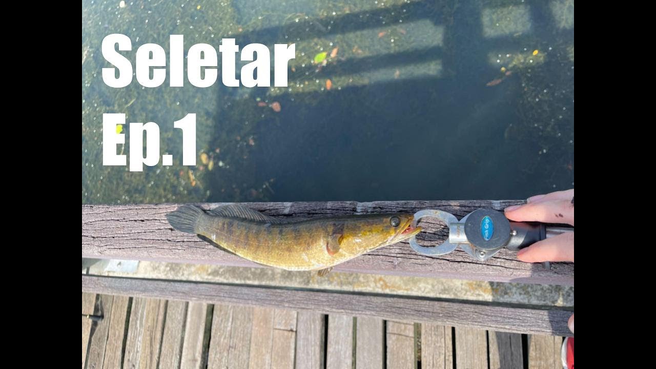 Fishing-@Lower Seletar Reservoir Singapore 2024-Ep1 - YouTube