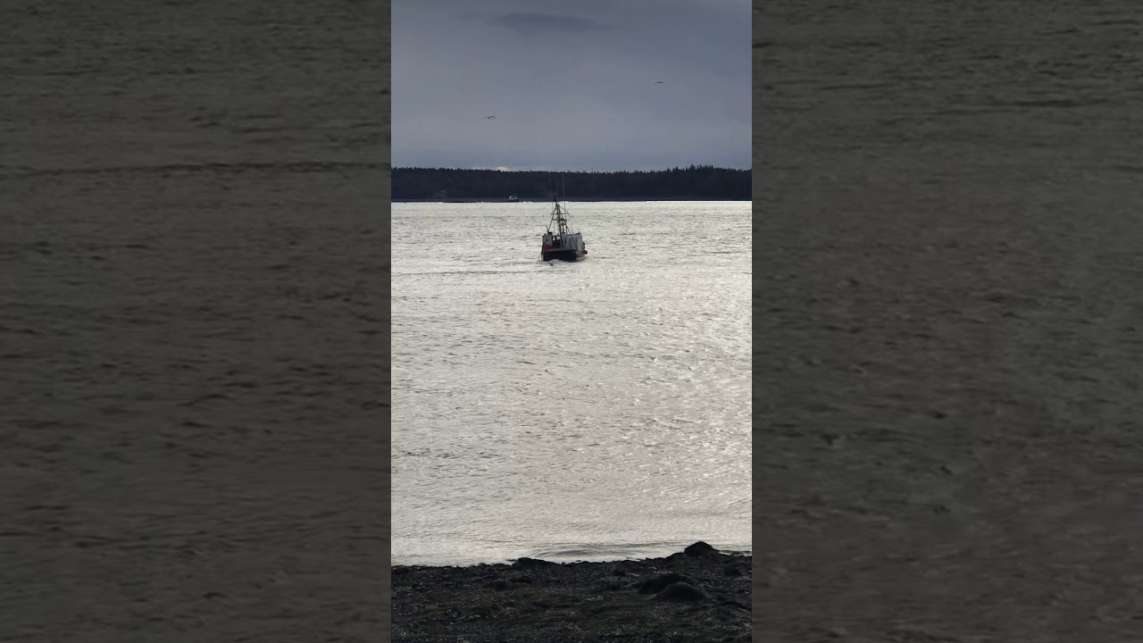 Dragging for scallops off Eastport, Maine - YouTube