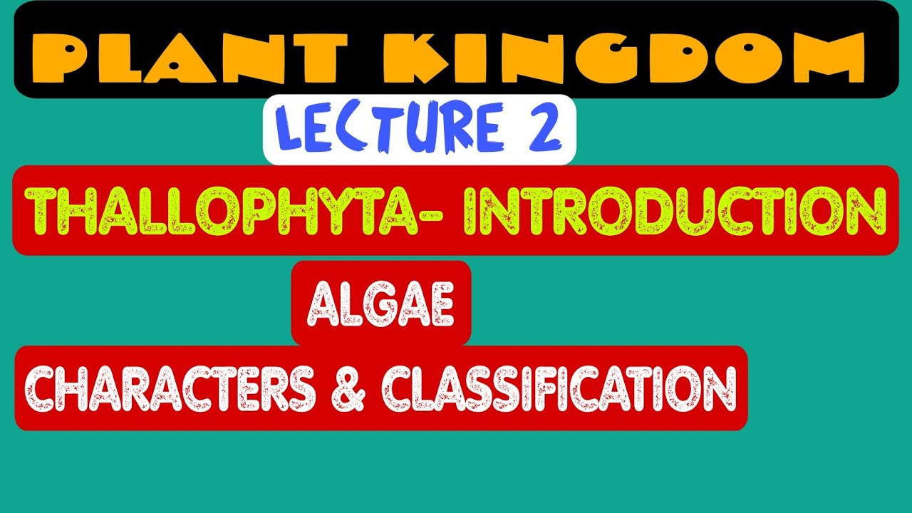 PLANT KINGDOM - lecture 2 #Thallophyta #algae /characteristics ...