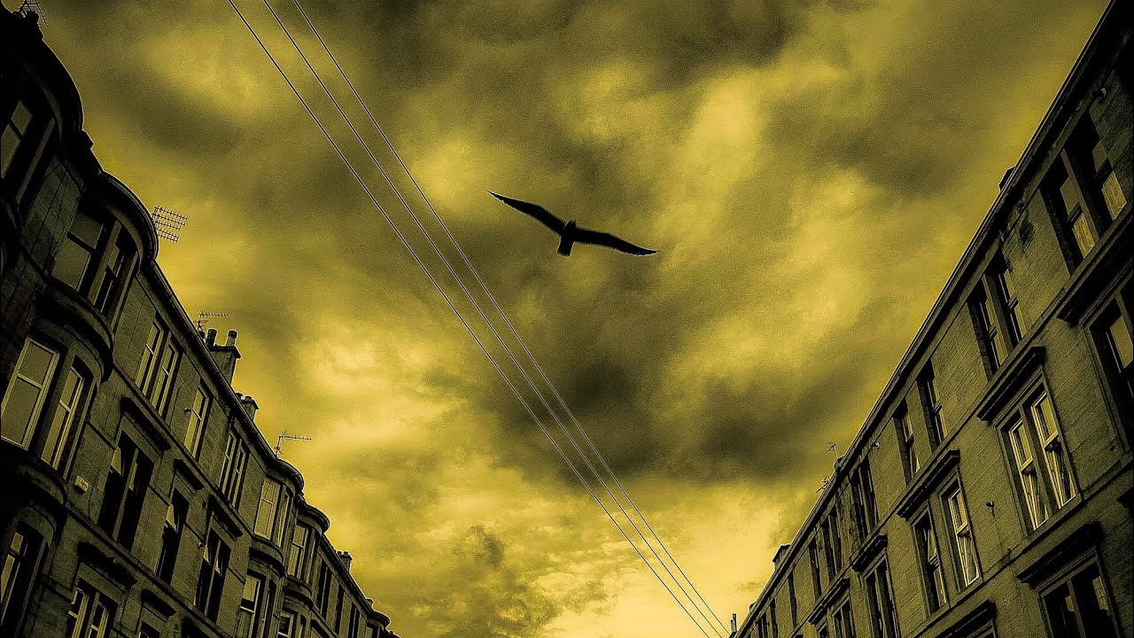 The Cure - Where The Birds Always Sing (LYRICS ON SCREEN) 📺 - YouTube