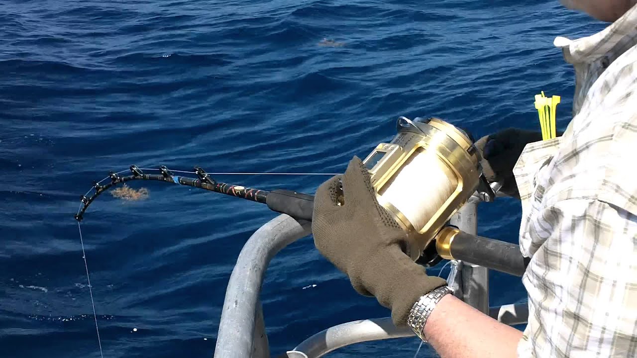Blue Fin Charters 3/24/12 Tuna Trip Warsaw Grouper - YouTube