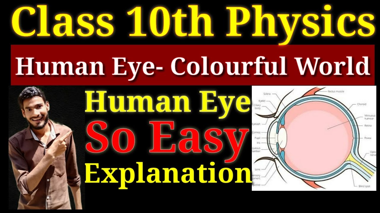 Class 10th Physics || Human Eye - Colourful World || Human Eye in easy ...