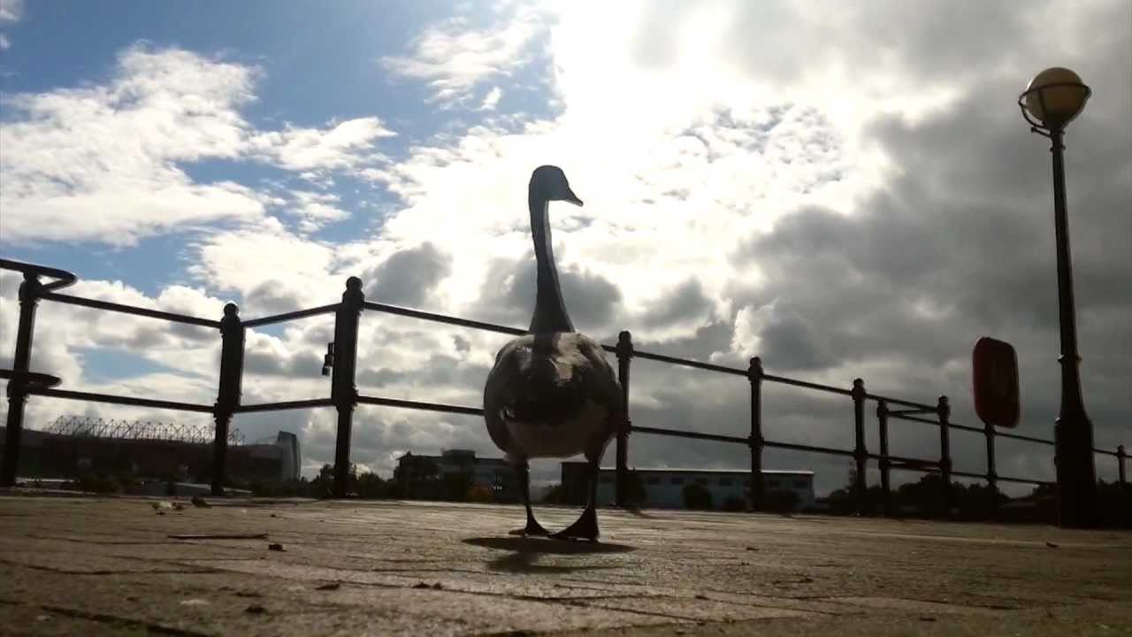 Samsung Galaxy Note 2 Video Quality Test - 1080p Recorded in Salford Quays