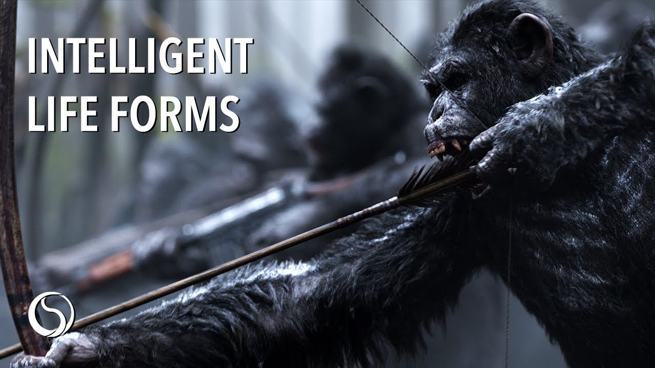 What If All Life Forms on Earth Suddenly Became Intelligent? - YouTube