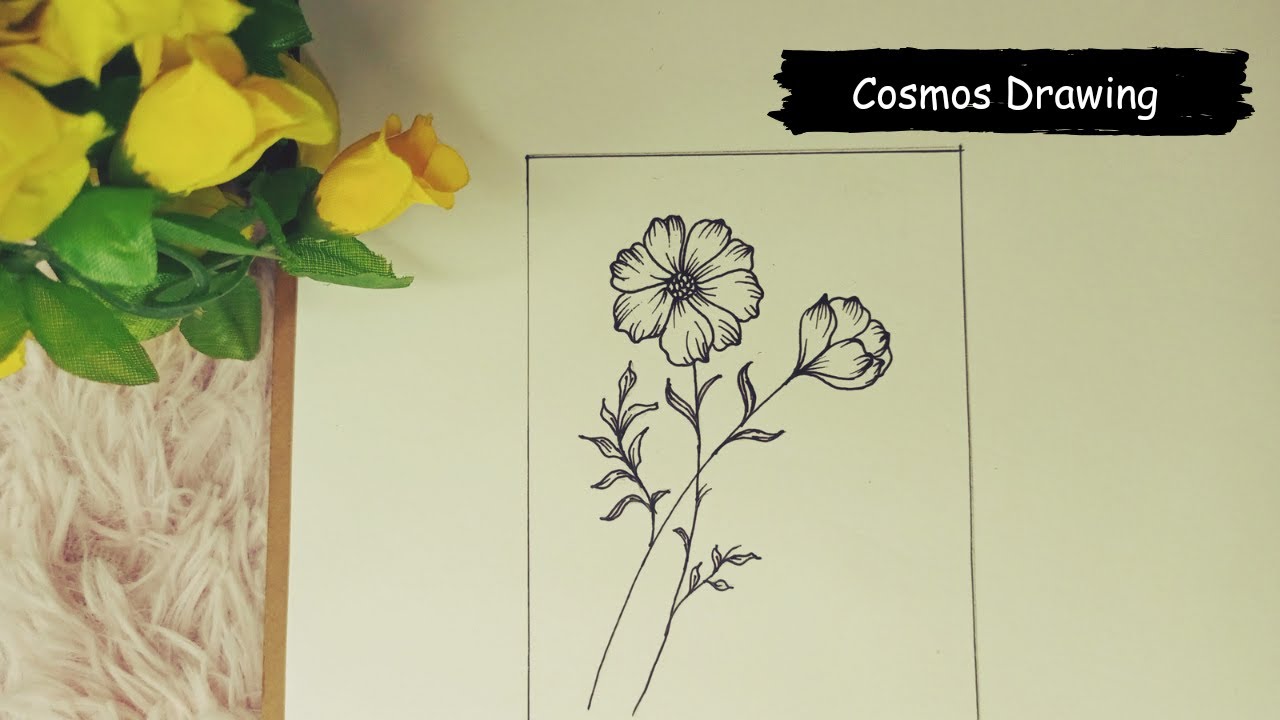 How to draw a Cosmos Flower || Easy Tutorial - YouTube