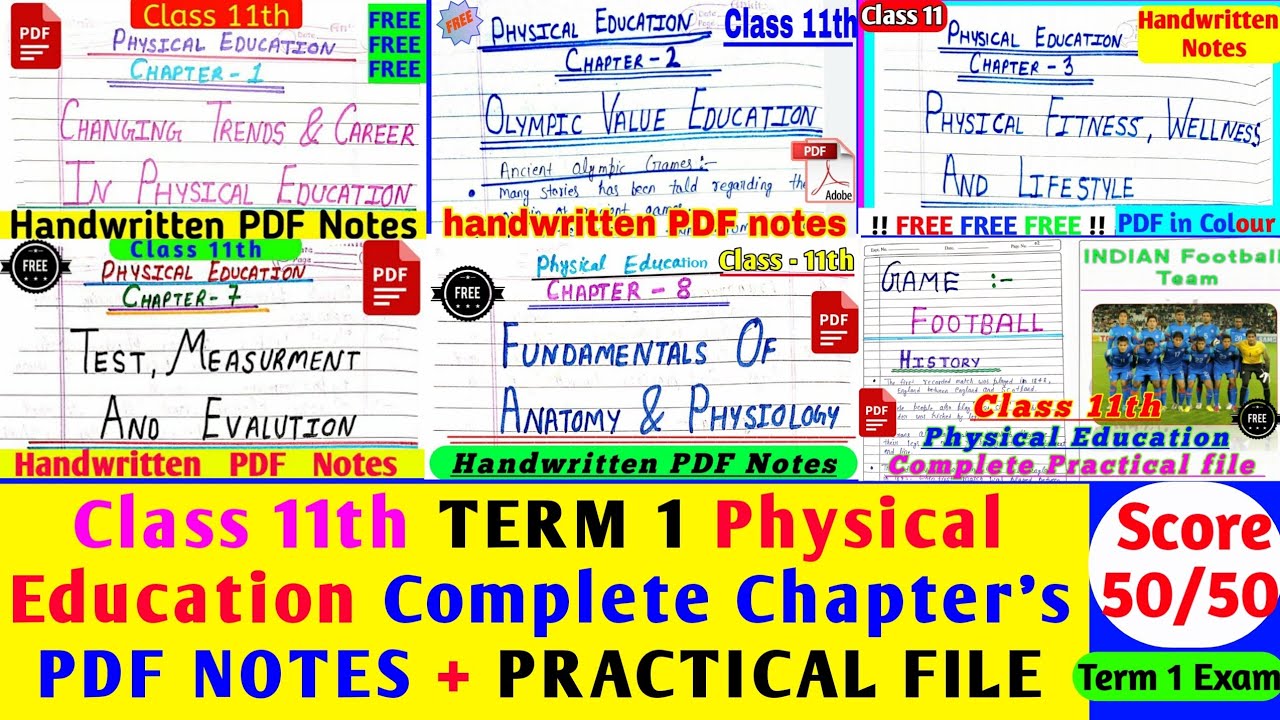 Term 1 Physical Education Complete Handwritten PDF Notes || Class 11th ...